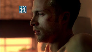 David Call on Fringe - Shirtless Men at groopii