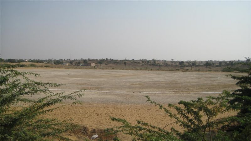 JAWAHAR NAVODAYA VIDYALAYA SARDARSHAHR CHURU: photo collection