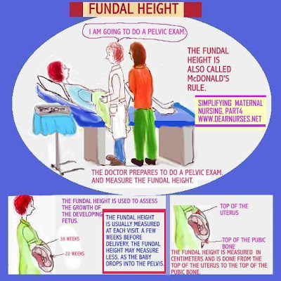 Dear Nurses: FUNDAL HEIGHT AND PELVIC EXAM