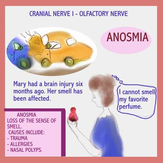 Nurses Notes: Anosmia