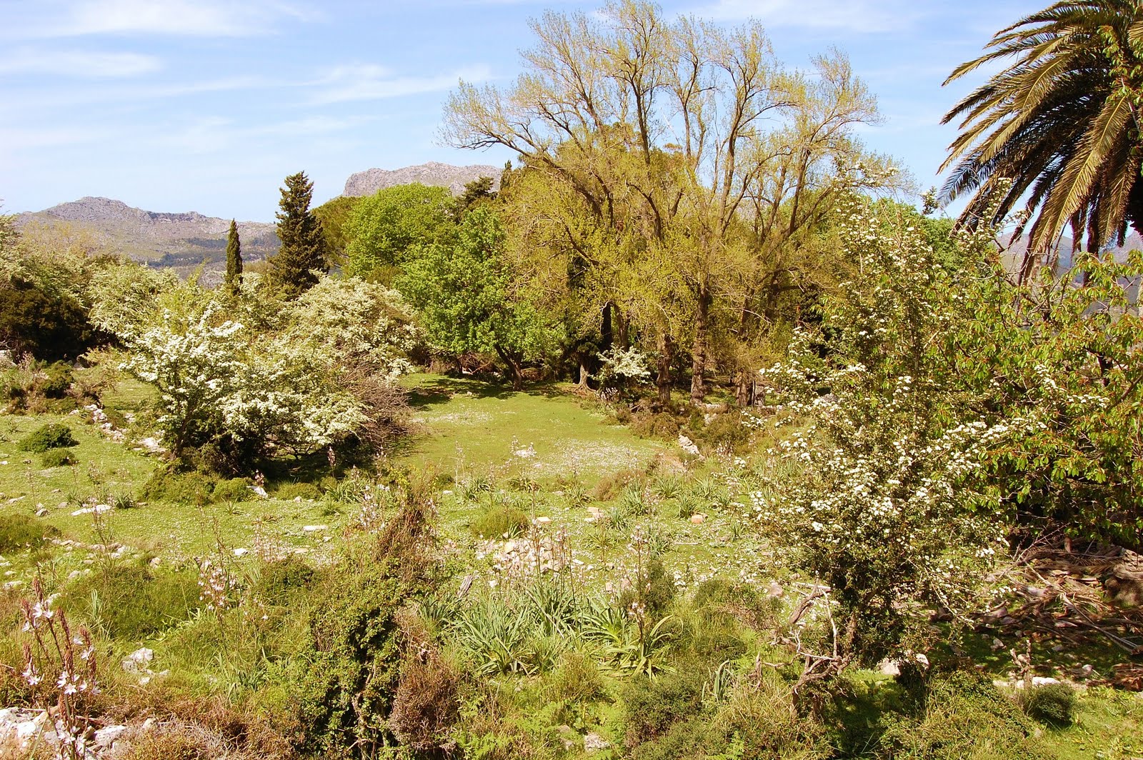 Un Fernannuñense en la Sierra de Tramuntana.: Cuculla de Fartaritx