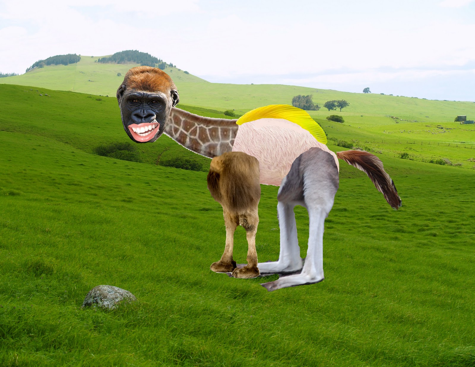 Janice's Blog: Crazy Combos