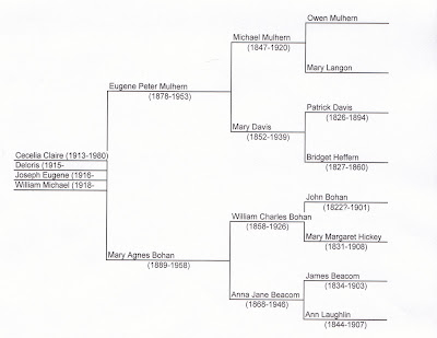 McCarty Family Stories: Family Trees