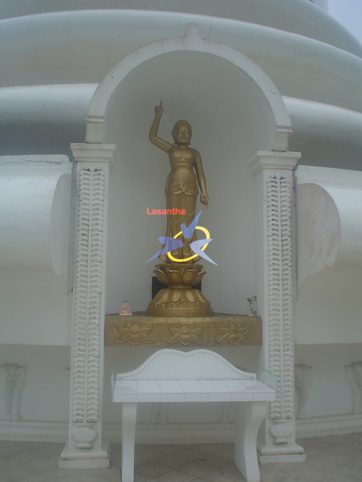 Sri Lanka Insects: Galle and Rumassala