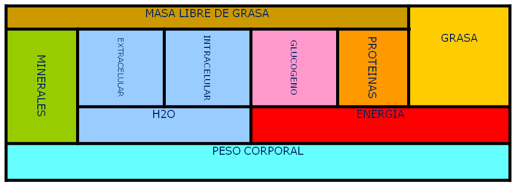 Composición Corporal: MODELOS DE COMPOSICIÓN CORPORAL