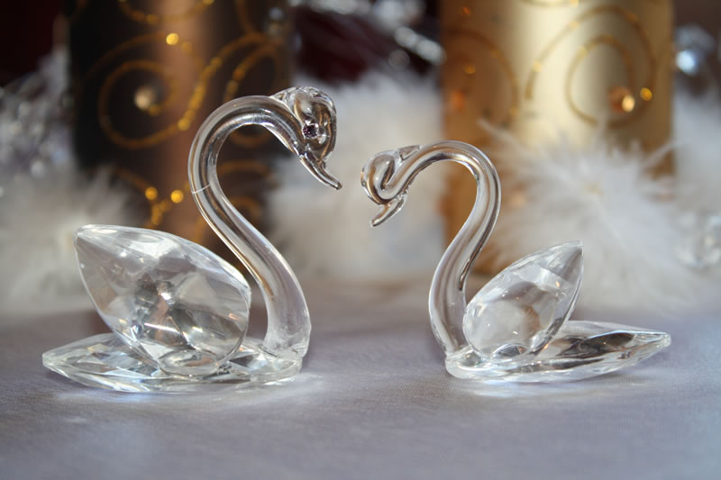 Future Brides: Marturii nunta