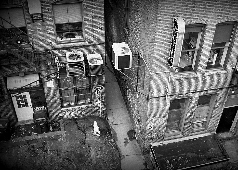 Corey Templeton Photography: Alley to Alley