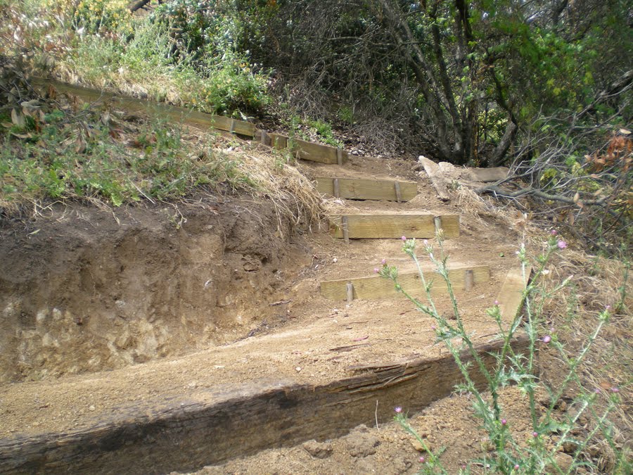 Griffith Park Wayist: Amir's Garden access trail renovation complete
