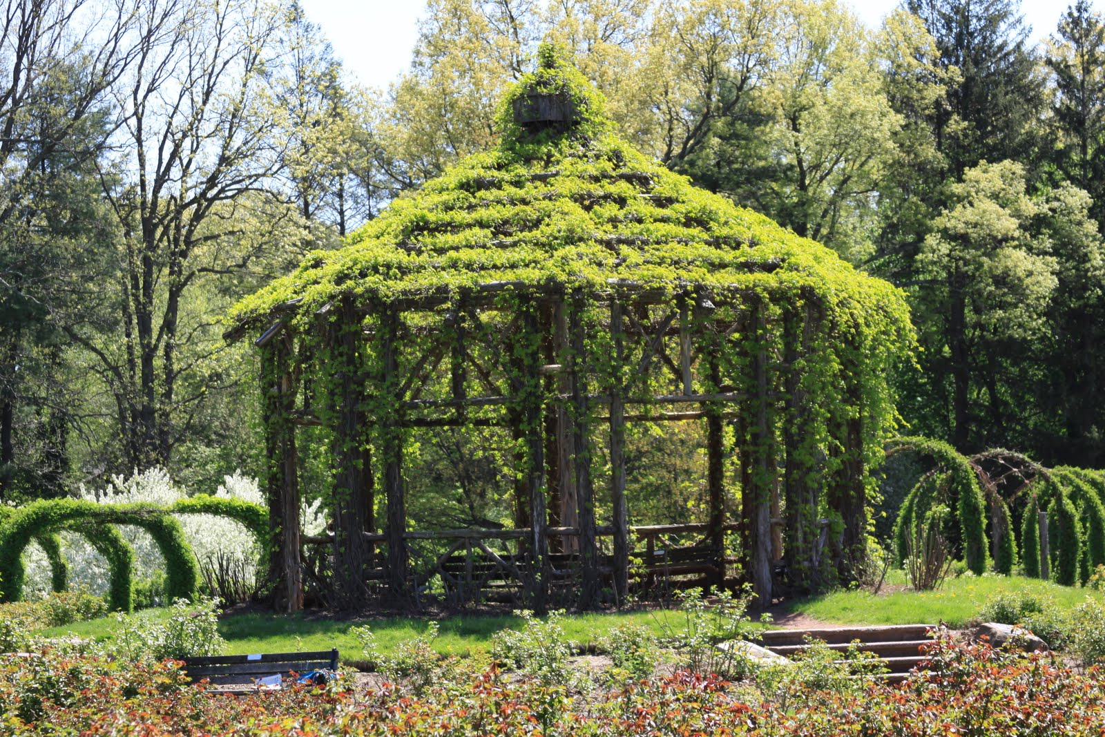 Cindi Clark Photography: Elizabeth Park West Hartford, CT