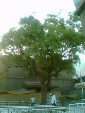 Shirdi Sai Baba Stories,Leelas and Teachings.: Complete Guide for first ...