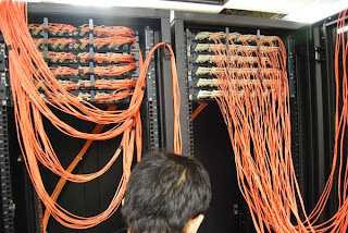 Cabling in MDF Room ~ USA Networking