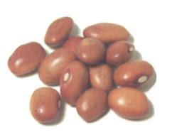 Plantas de Yucatán: Plantas de Yucatán / Tríada Maya / El Frijol