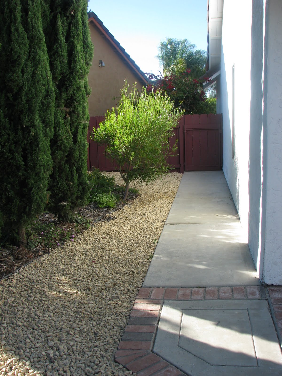 The Starnes Family: Scoop - With Pictures Of The Back Yard