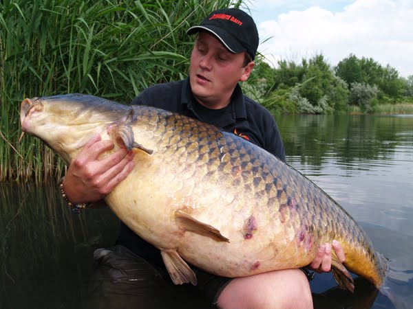 Koedoe Angling Club - Freshwater Carp Angling: WERELD REKORD KARP