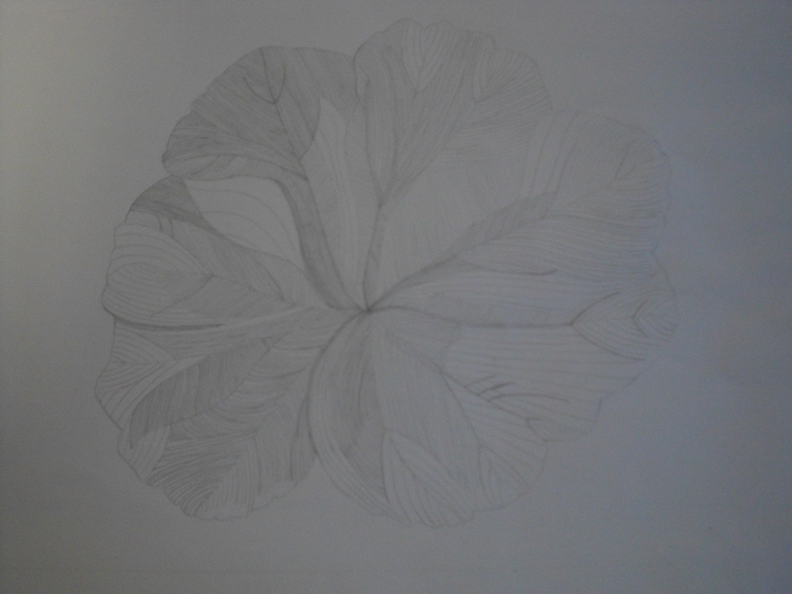 Desenho 10 A1: Representar Formas Naturais