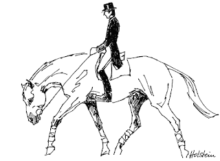 DNN: FEI Releases Warm-Up Diagrams for Dressage Steward's Manual