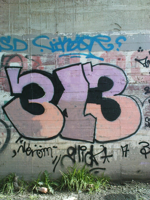 the 313 crew: Gt dikaiwma mas einai na akfrazomaste