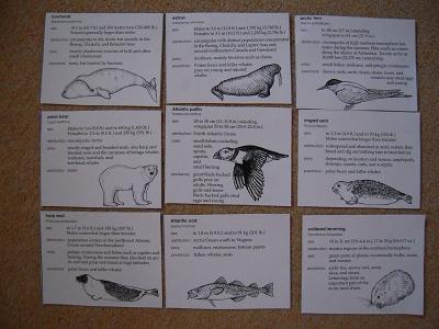 All That's Goood: Arctic Lapbooks Part 1 of 3