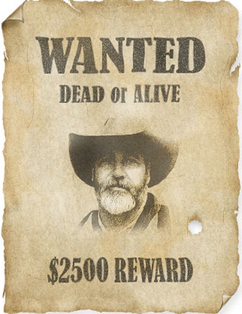 Two Scoops: WANTED Two Scoops: WANTED