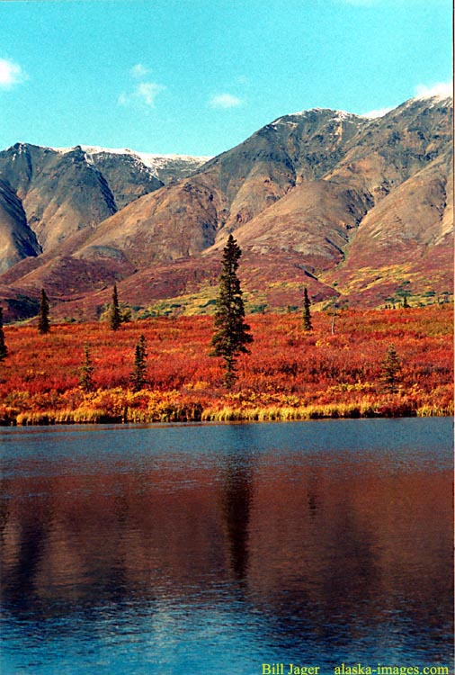 Margy's Musings: Fall in Alaska