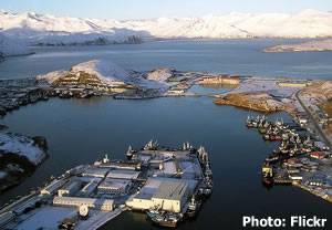 Margy's Musings: Dutch Harbor, Alaska