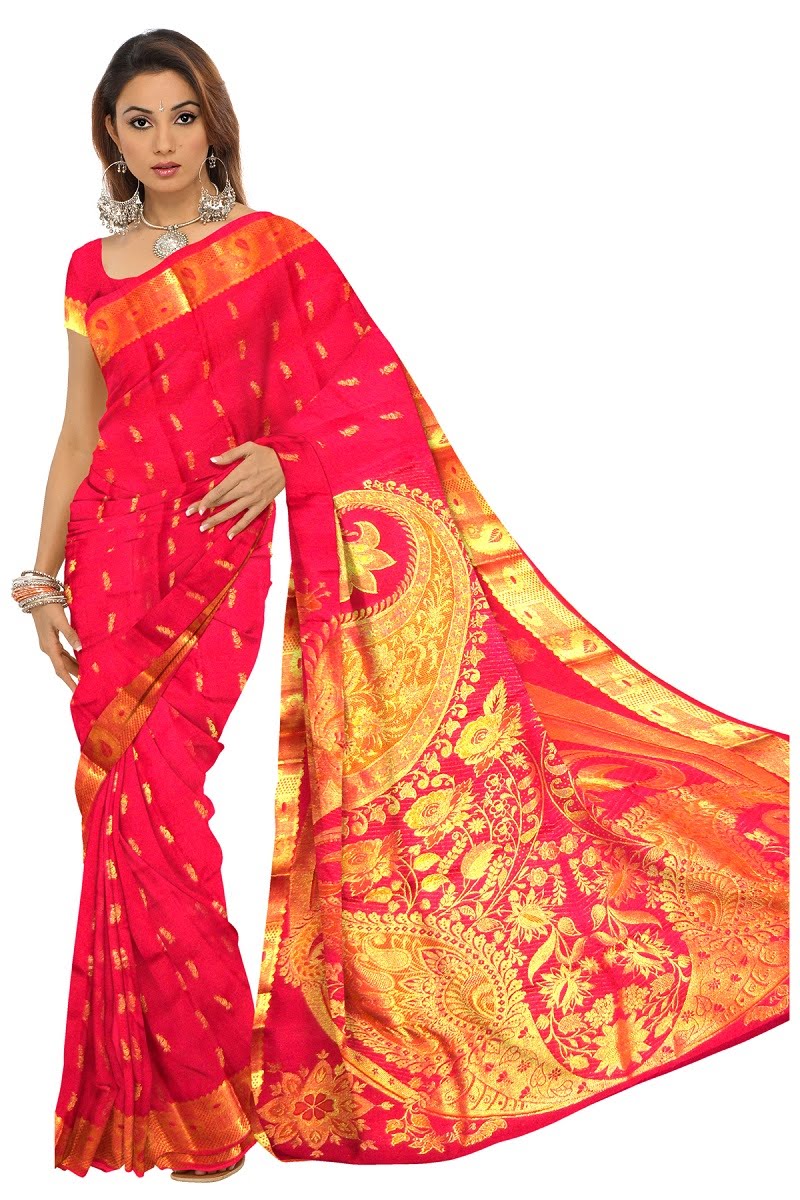 Margy's Musings: Saree or Sari - India and Pakistan