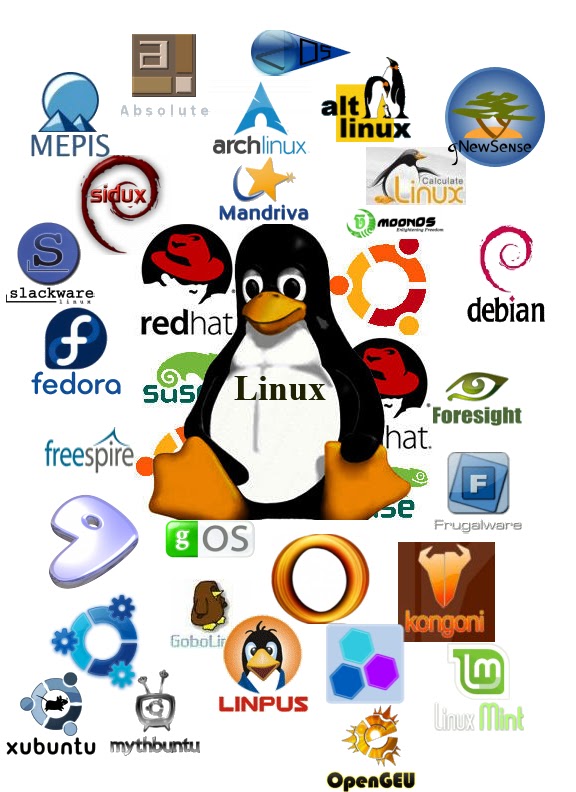 Fresh News, Cool Gadgets and Gizmo's, Latest Trends: September 2010