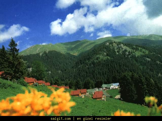 mesut ylmaz: trabzonun yaylaları