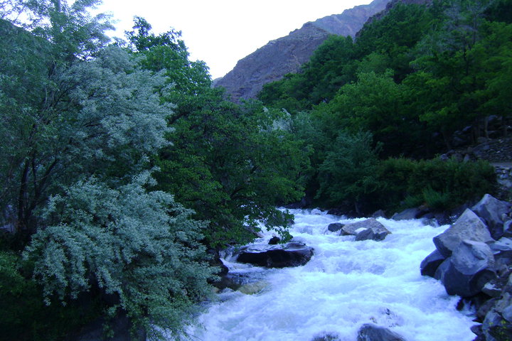 Panjshir In the Mirror of Civilization!: Panjsheri World Champion Cage ...