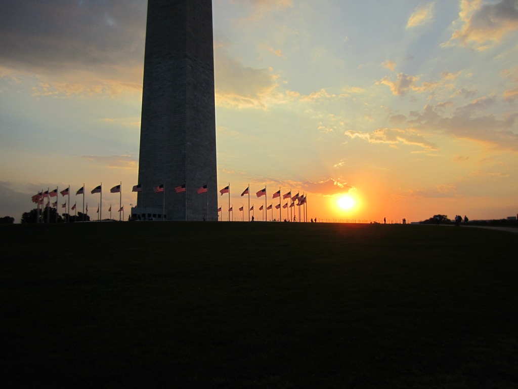 blades of blue: Washington DC Sunset