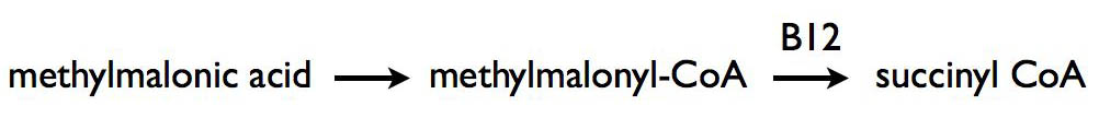 Family Practice Pearls: Diagnosis and treatment of B12 deficiency