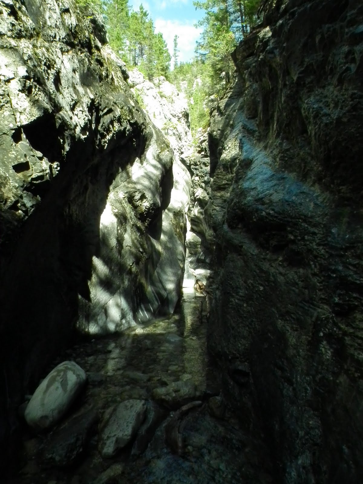 Happenings at Jello's House: To the Exshaw Shales Outcrop