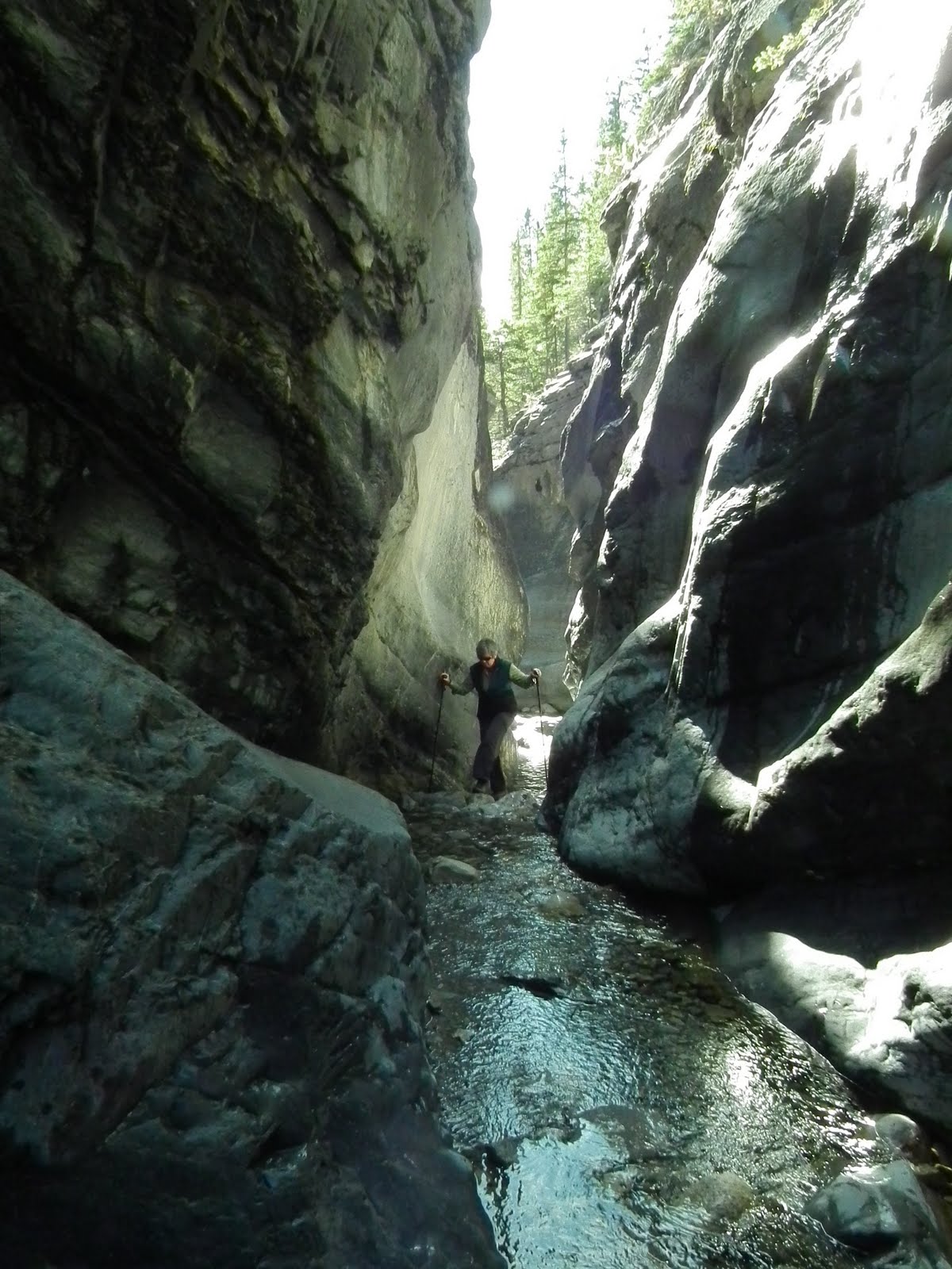 Happenings at Jello's House: To the Exshaw Shales Outcrop