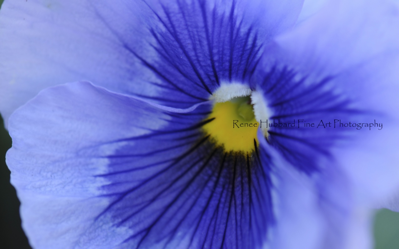 Extraordinary Light: How to See