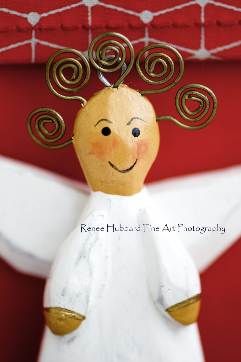 Extraordinary Light: The Joy of Christmas