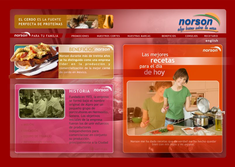 dfrepublik: WWW.NORSON.NET