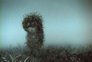 viru viru košę...: Ežiukas rūke