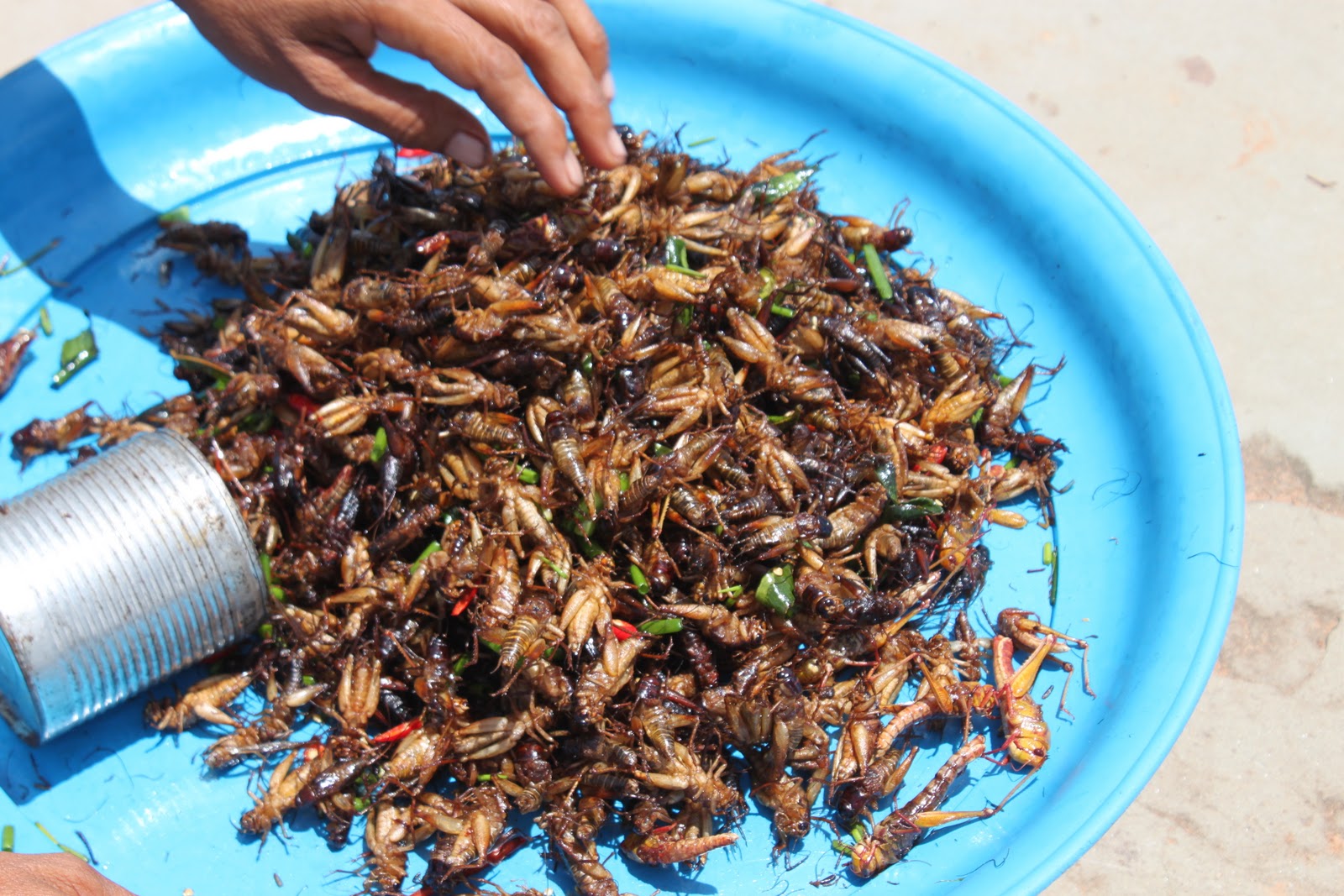 Tones of Japan: December 2010