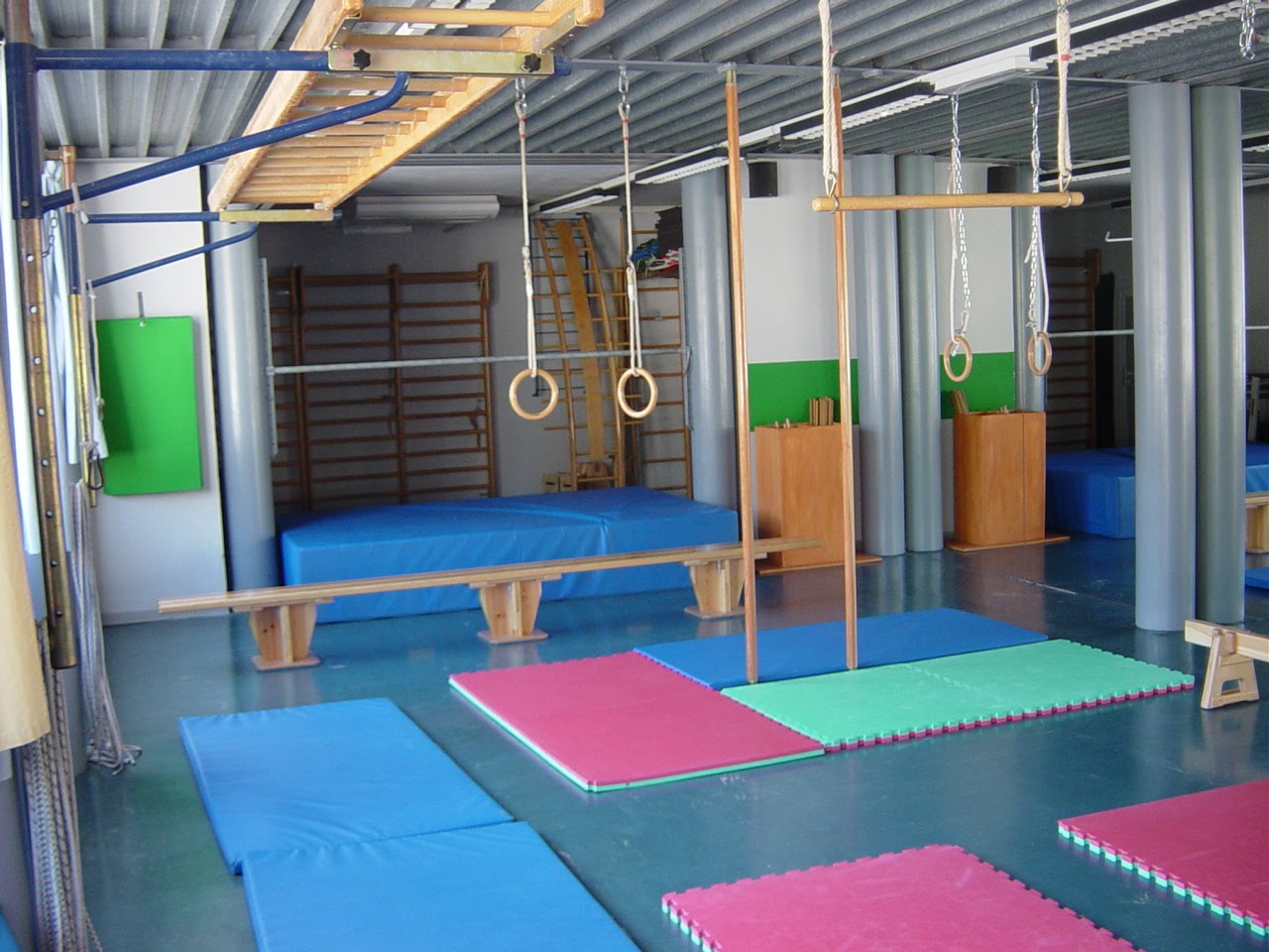 De Arte Gymnastica: Ecco la palestra dove lavoro!