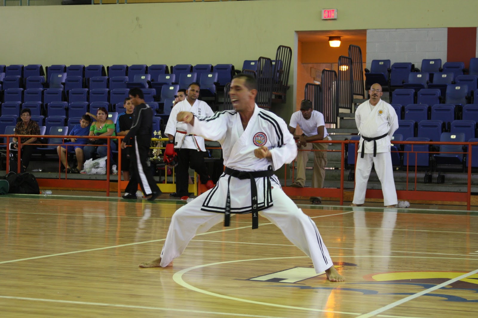 Okinawa Goju Karate - Puerto Rico