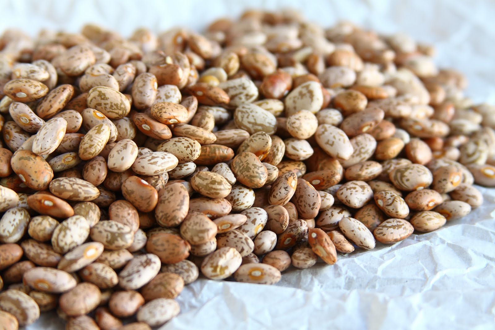 ShowFood Chef: Pinto Beans & Fried Corn Bread - Southern Family Cooking