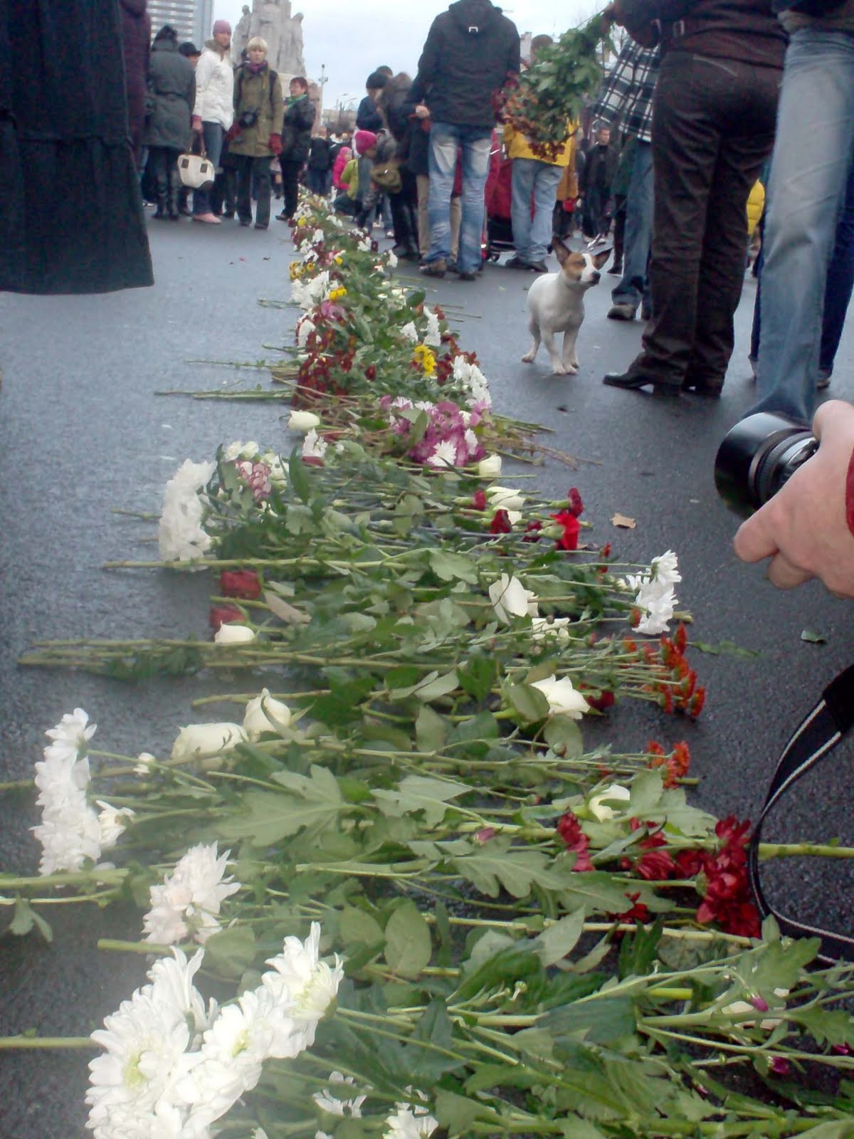 Jana in Riga: Nationalfeiertag und andere Geschehnisse