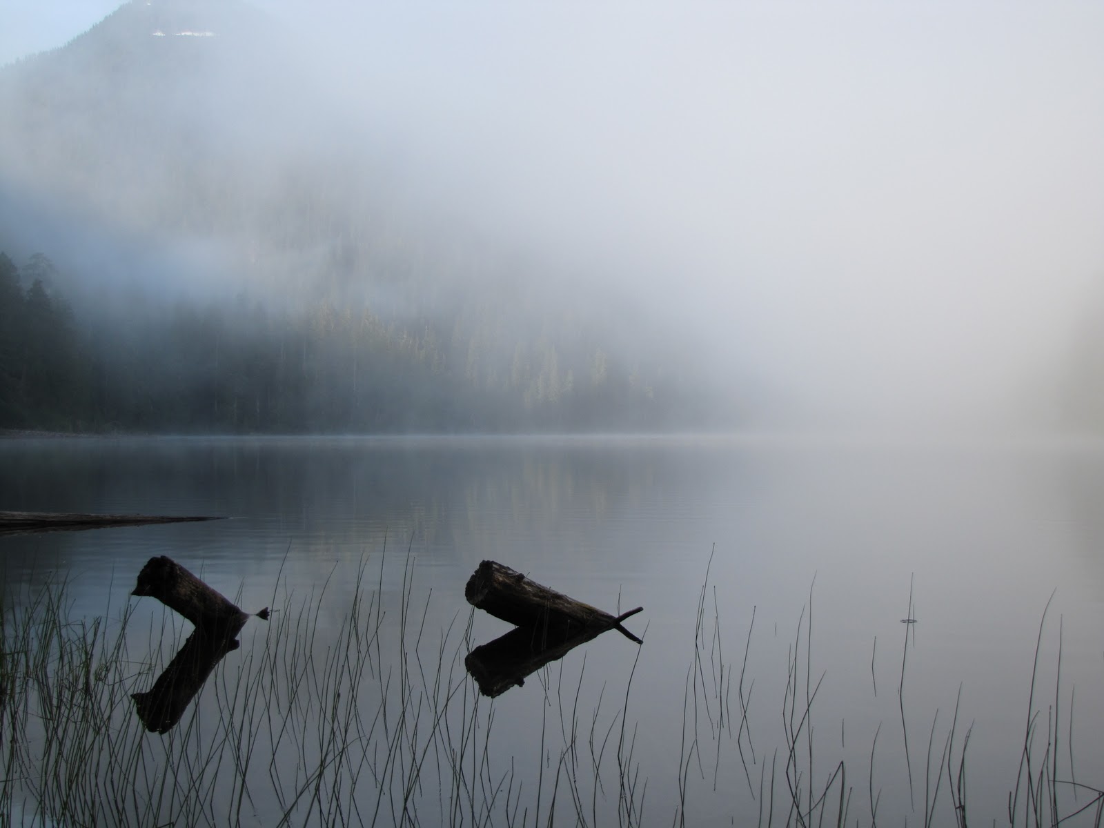 Vancouver Island Lake Adventures: Stewart Lake