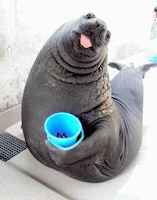 Mind at Large: Merzbow - Minazo