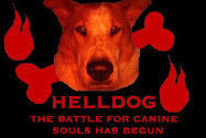 life inside the fence: CANINE HEROES - THE 1925 SERUM RUN