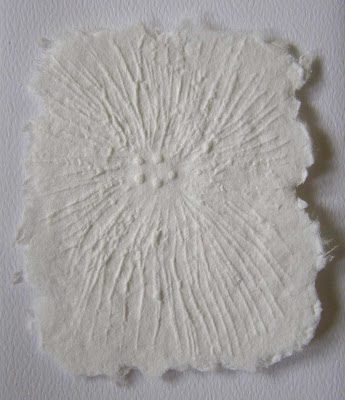 art vein vessel: cast paper fragments