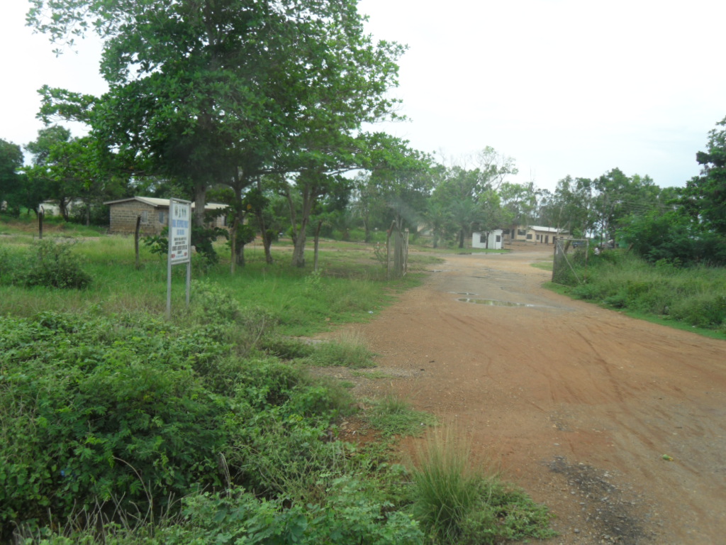 Service Above Self Safari: Journey to Africa: Adidome - Project Day