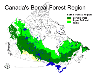 Derek Li Blogs Biology!