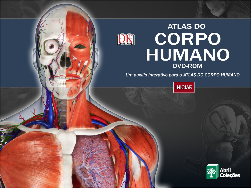 Atlas Do Corpo Humano Em Pdf - BRAINCP