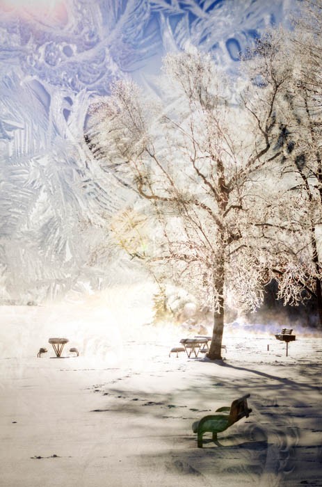 Mind Body Spirit Odyssey: Winter Solstice: A Time for Light, Release ...